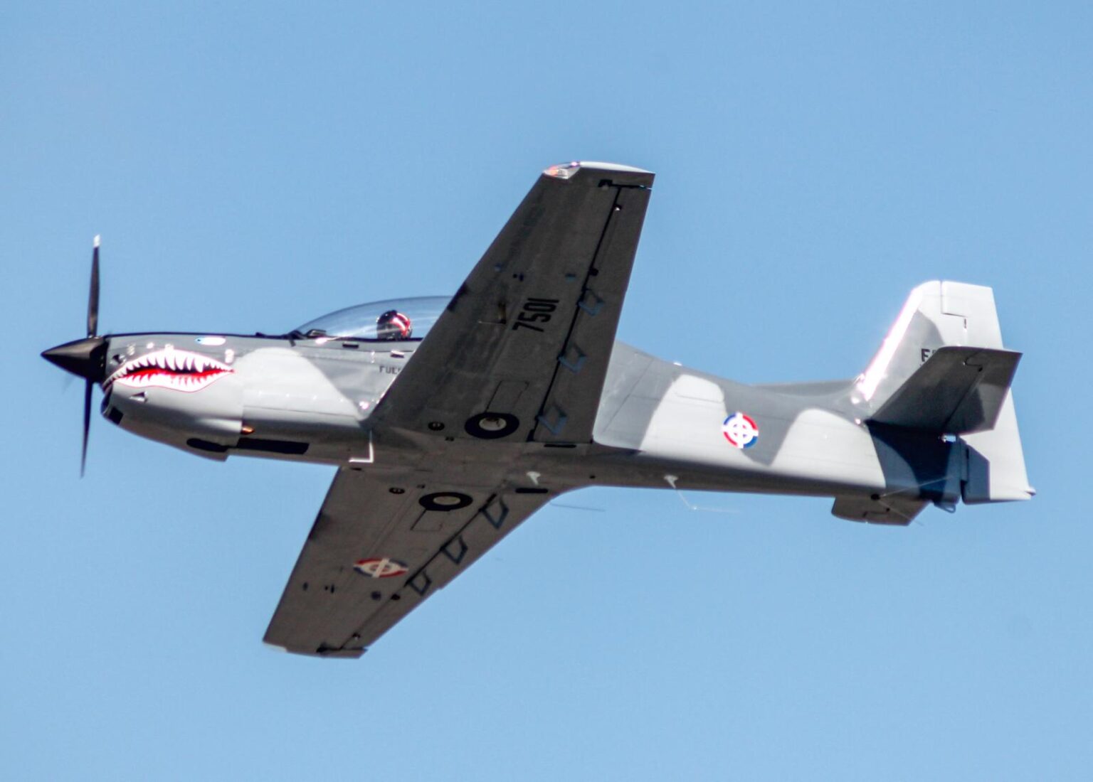 Introduction of the Basic Tandem Trainer Flying Legend Military Version ...